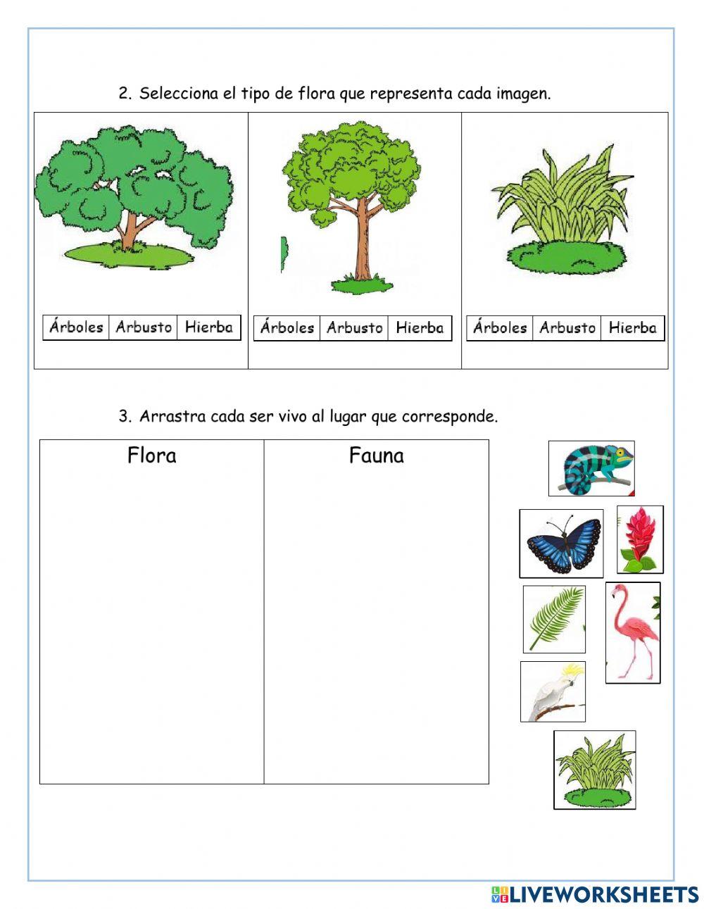 1071560 | La flora y fauna | Miss Leidy 2B