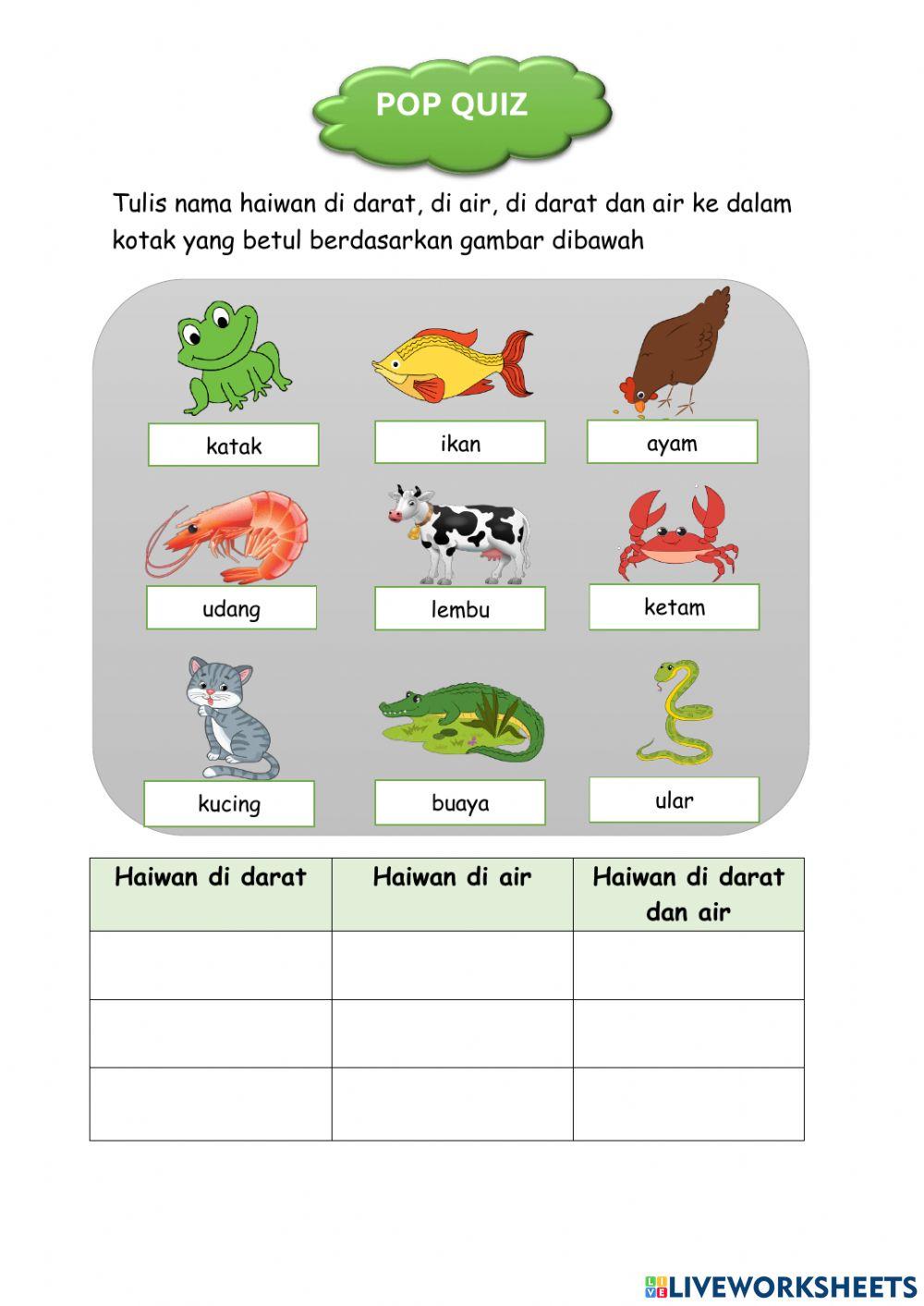 Animal interactive activity for tadika | Live Worksheets