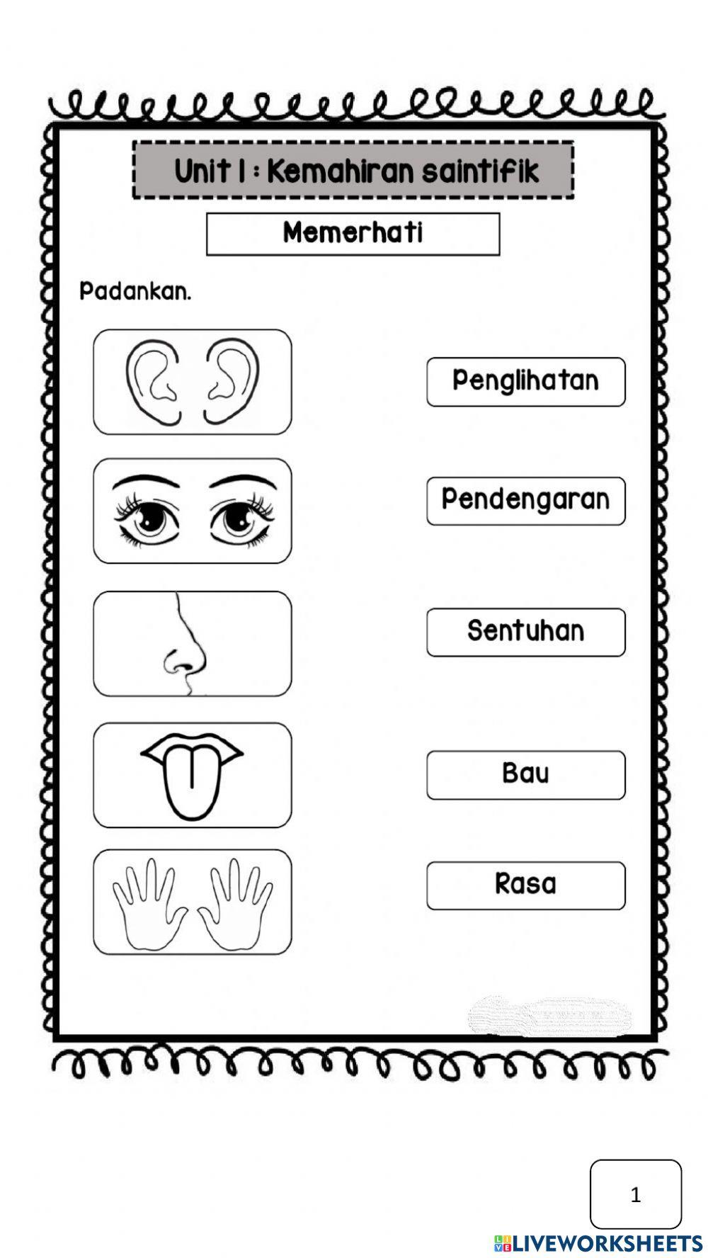 1135716 | Sains Tahun 2 | ainisz_98 | LiveWorksheets