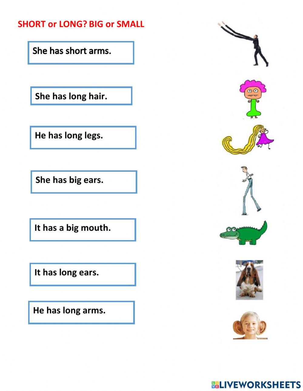 BIG or SMALL and LONG or SHORT | mayamaya9557 | Live