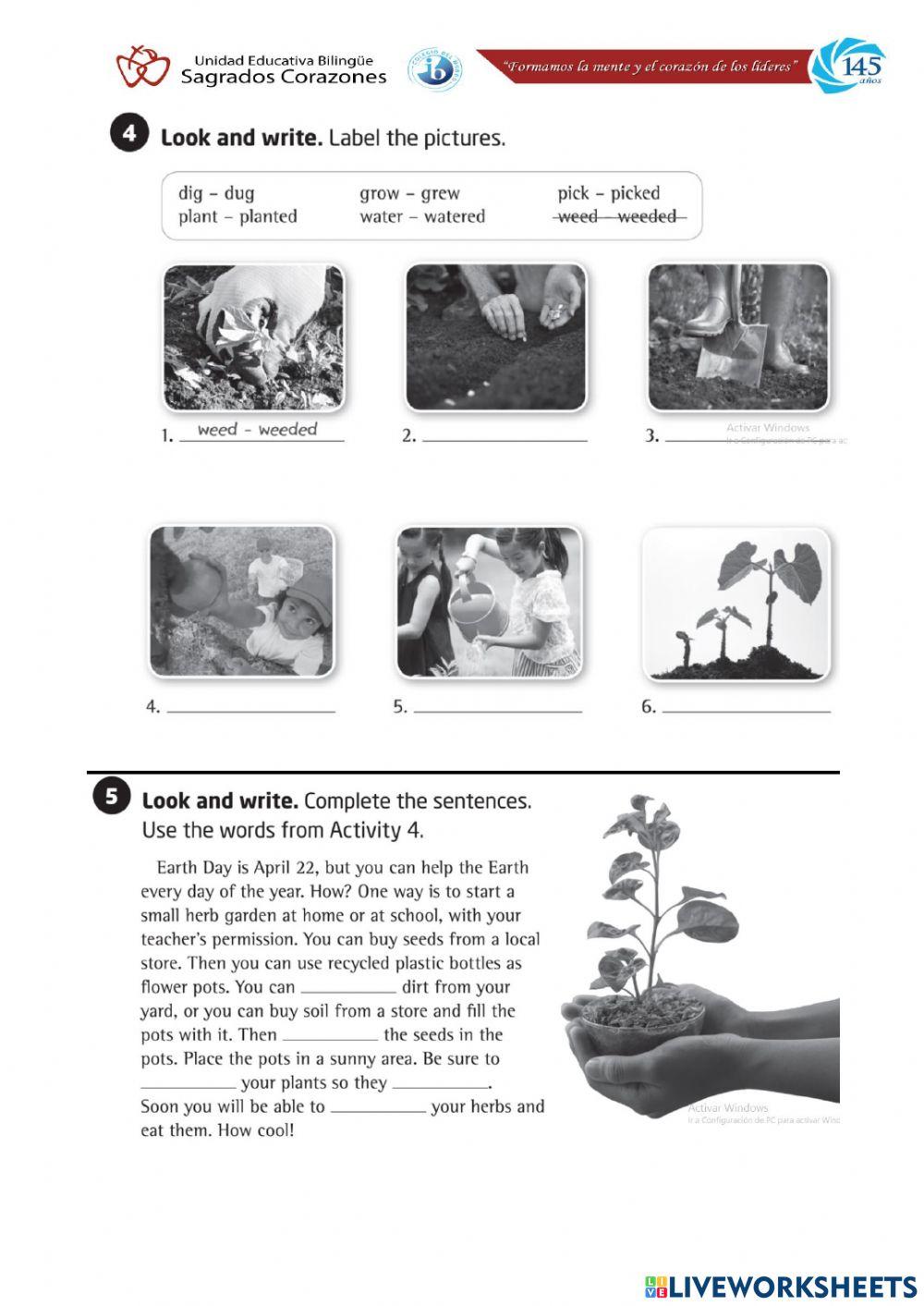 1136395 | Vocabulary 3 | squimi | LiveWorksheets