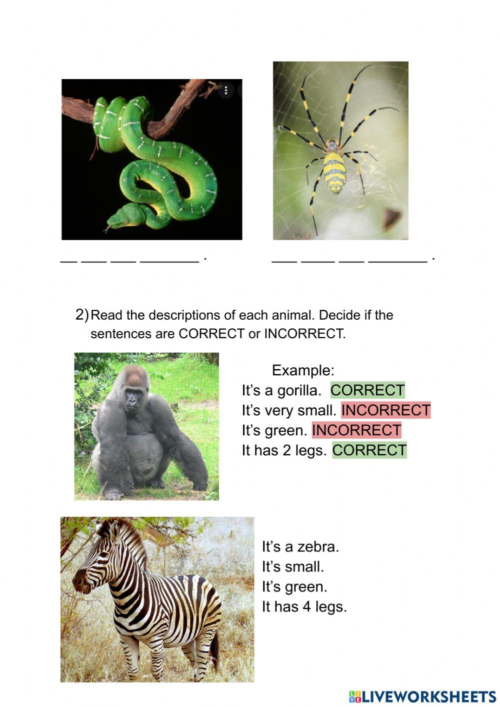 How many legs | Free Interactive Worksheets | 1137145