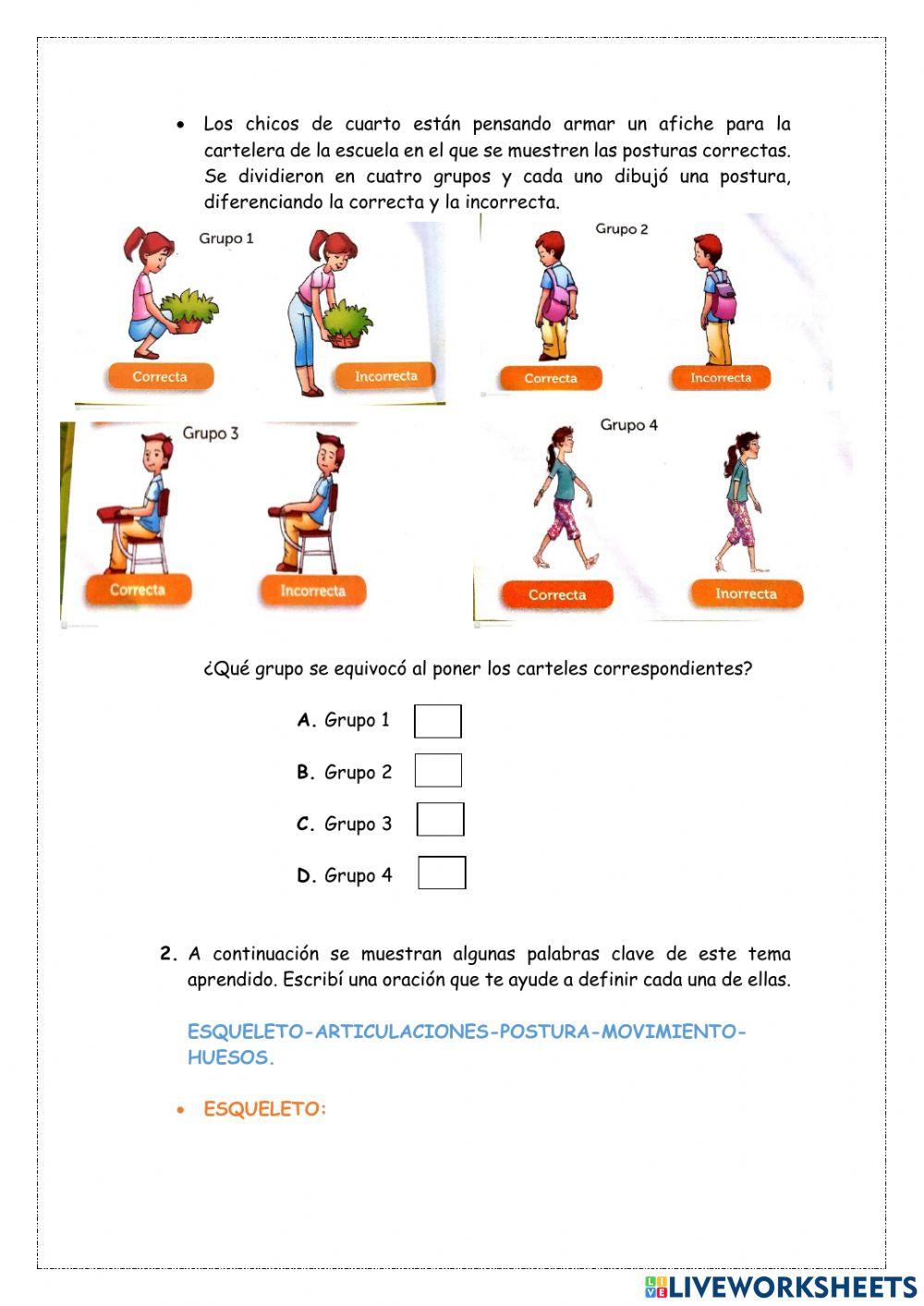Sistema locomotor free worksheet | Live Worksheets