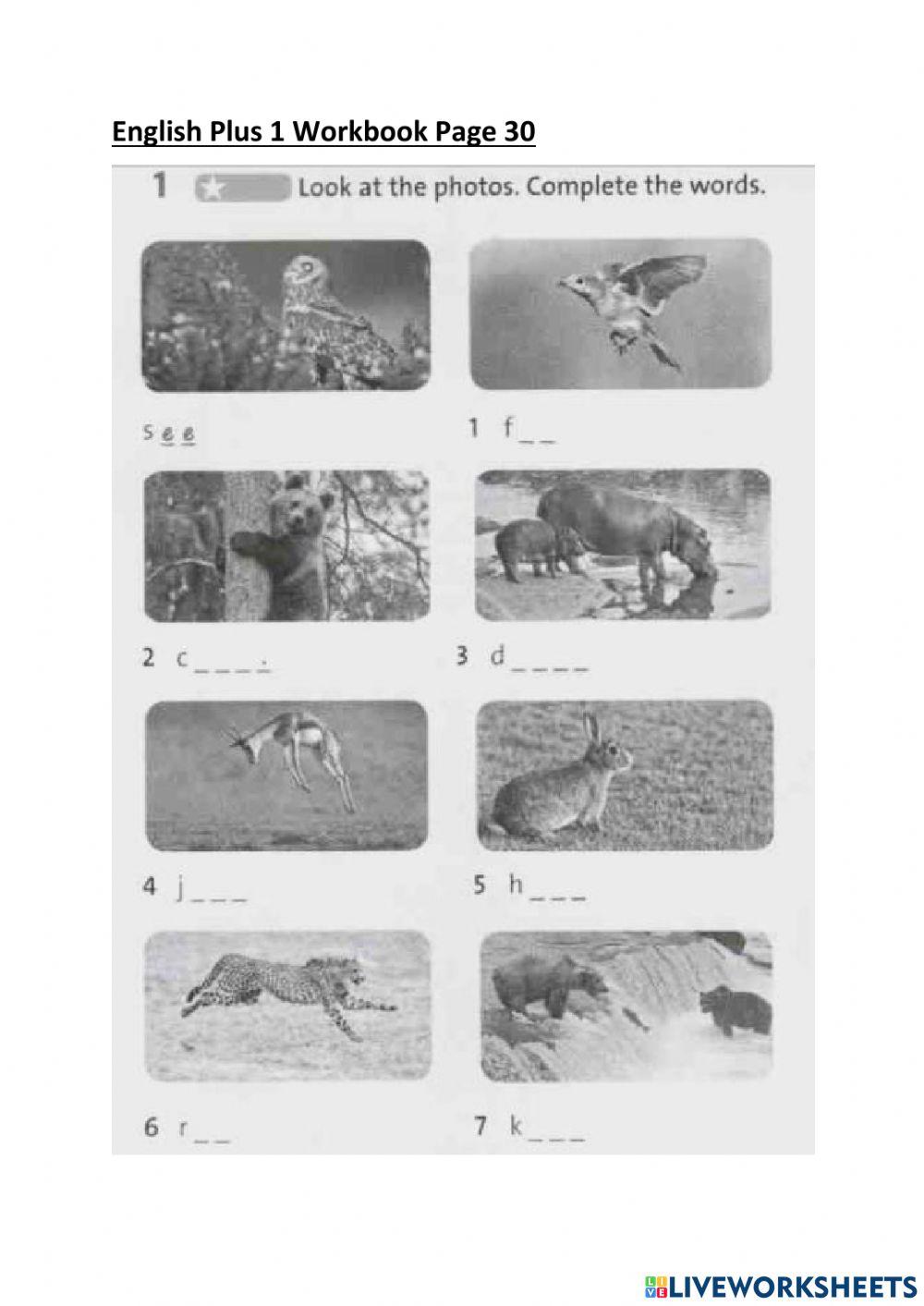 English Plus 1 1159474 | wanlynn84 | Live Worksheets