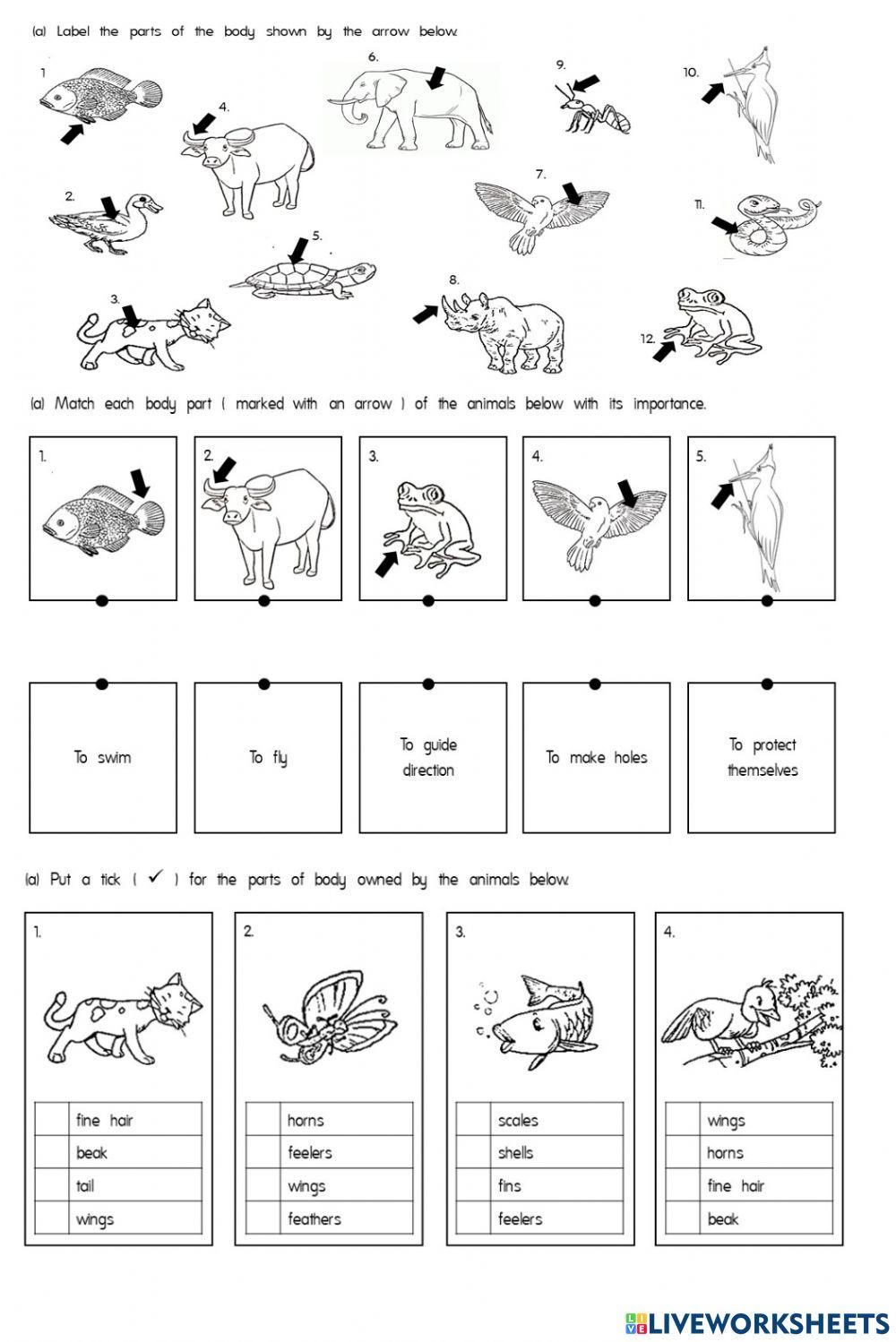Animals online exercise for 1 | Live Worksheets