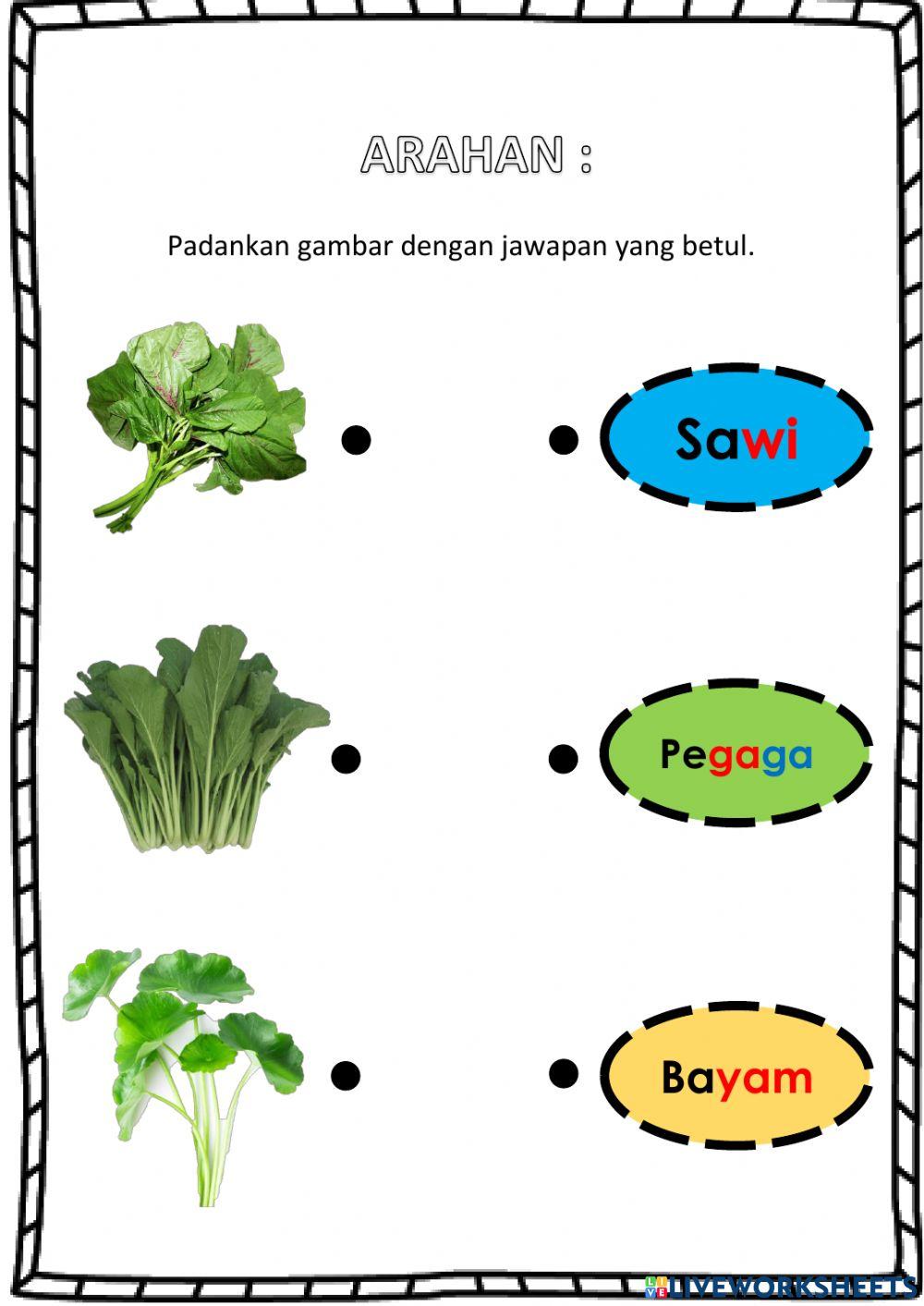 Namakan sayur-sayuran worksheet | Live Worksheets