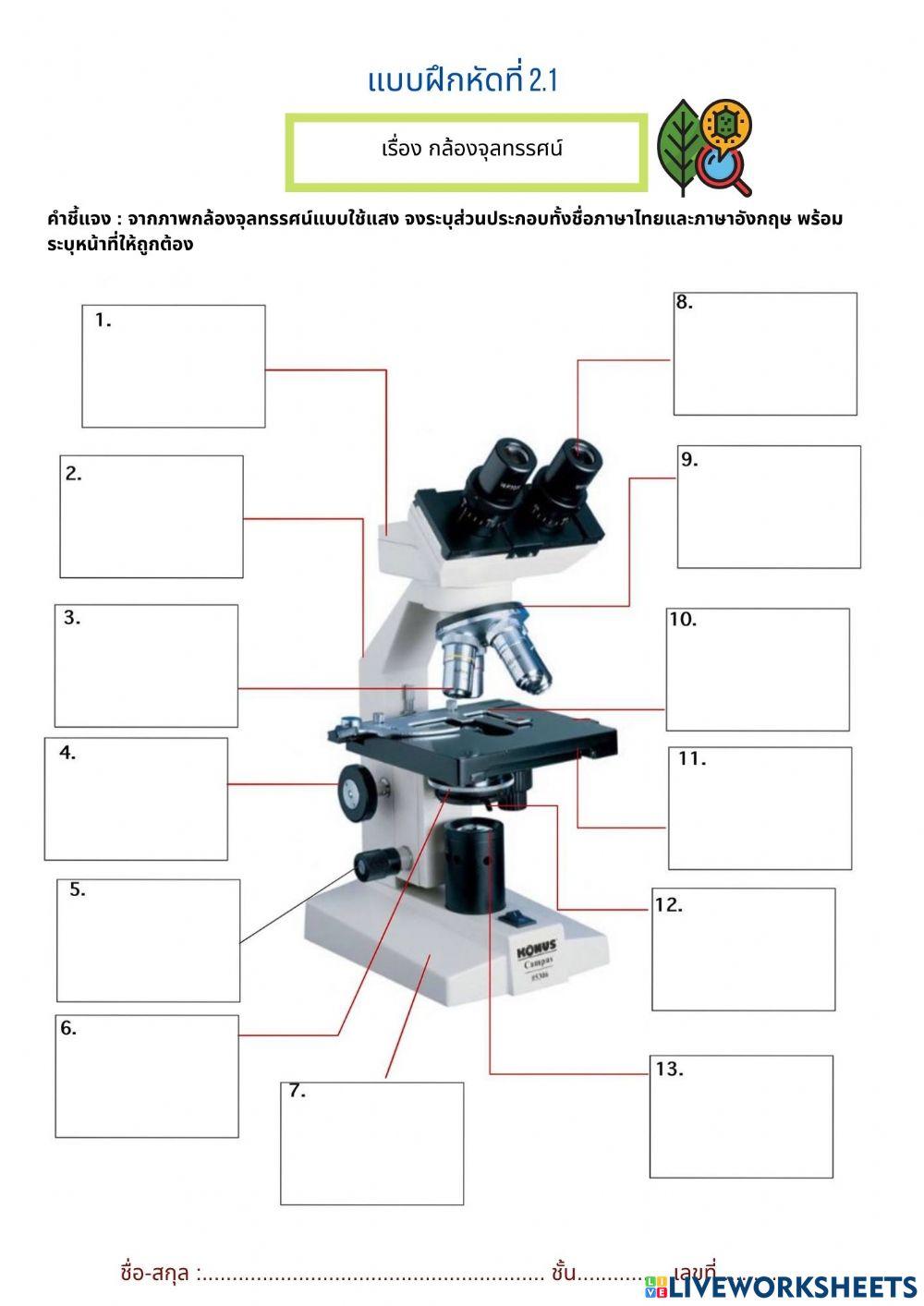 ฺBiology worksheet | Live Worksheets