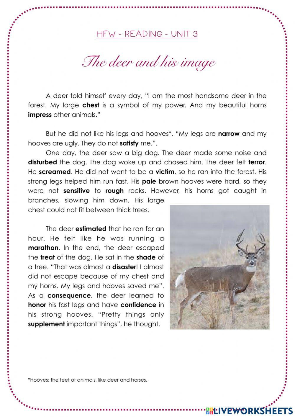 HFW Unit 3 worksheet | Live Worksheets