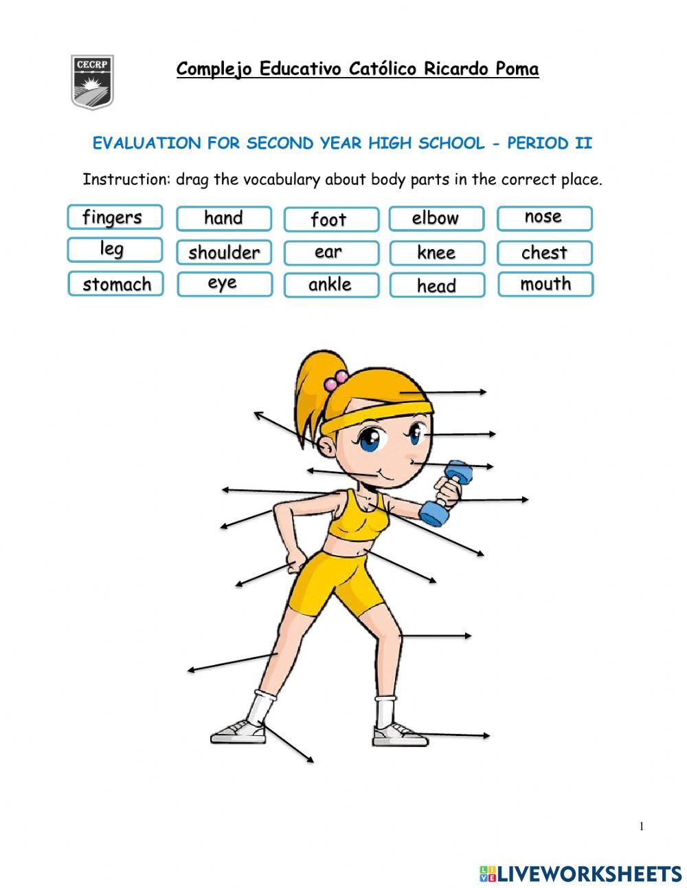 Body parts online exercise for High school | Live Worksheets