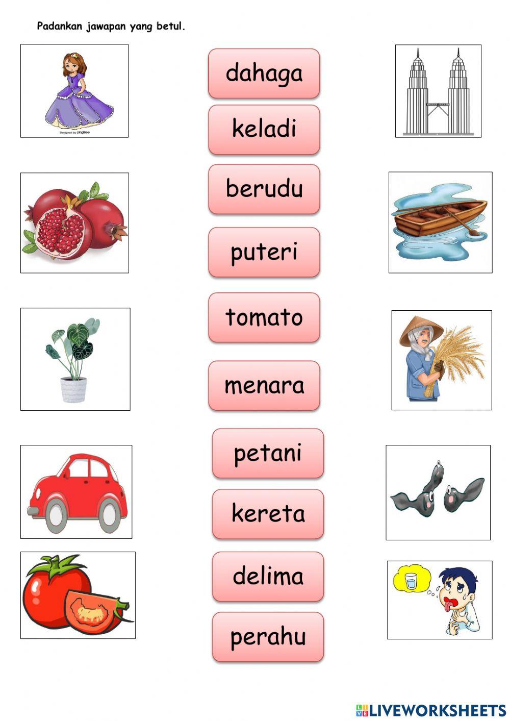 Padankan perkataan dengan gambar KVKV worksheet | Live Worksheets