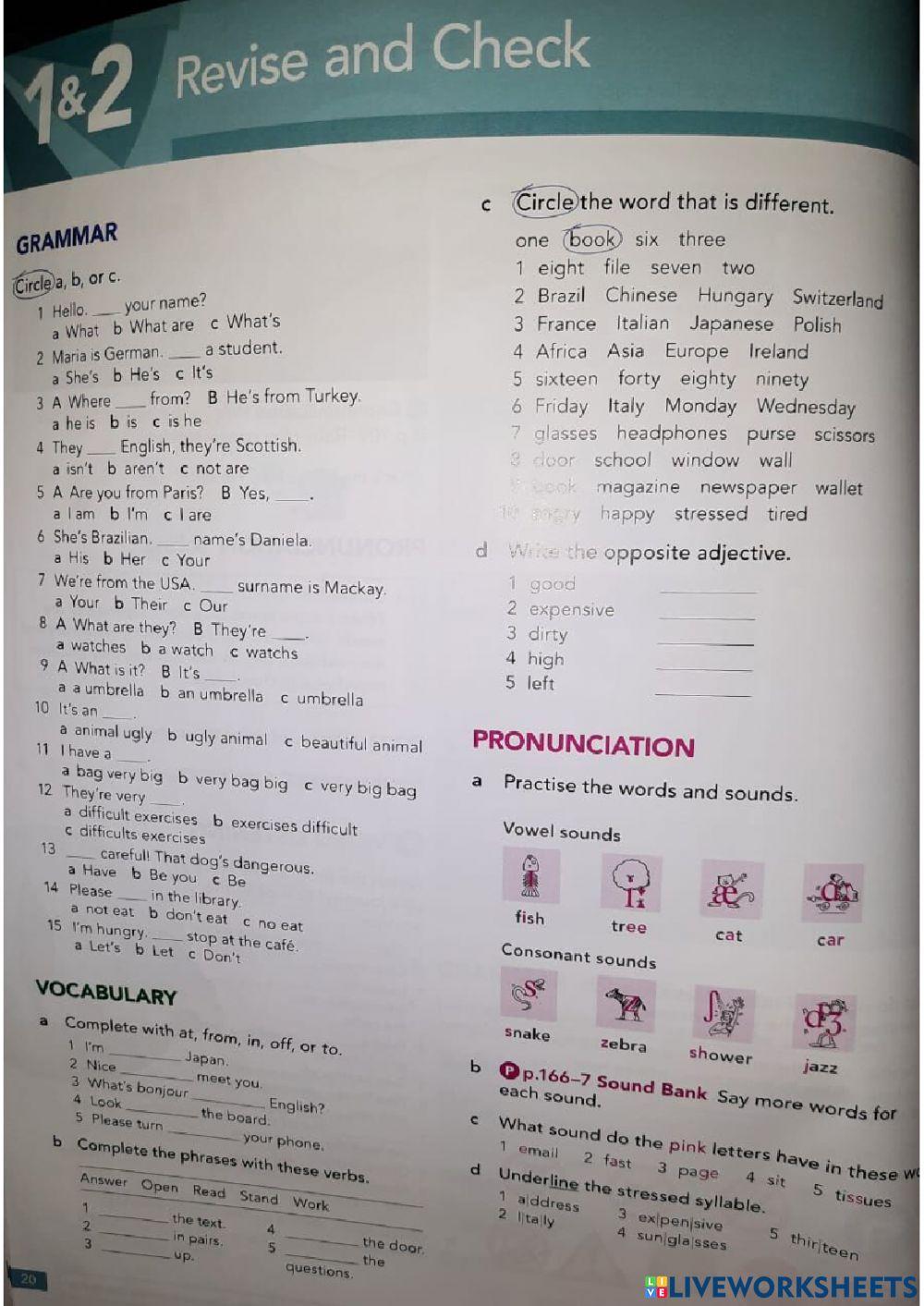 Grammar online exercise for beg | Live Worksheets