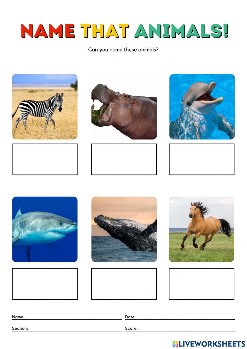 Topic 10 : the world around us 1163911 | amirahadilah