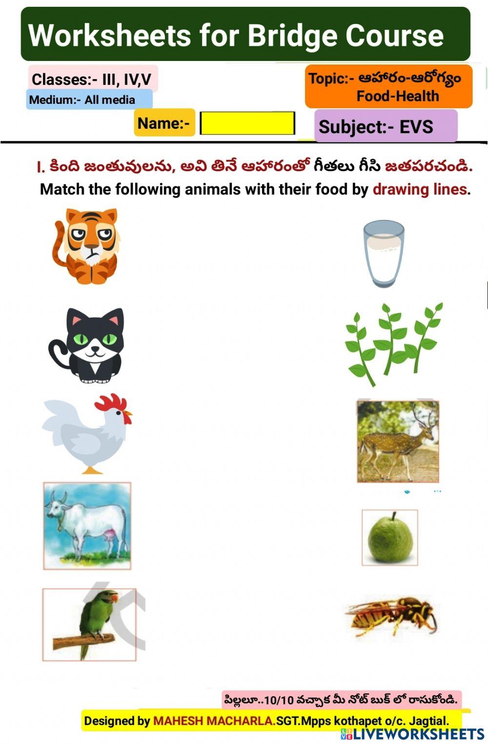 Level-1-Evs-WS-4 | Free Interactive Worksheets | 1165403