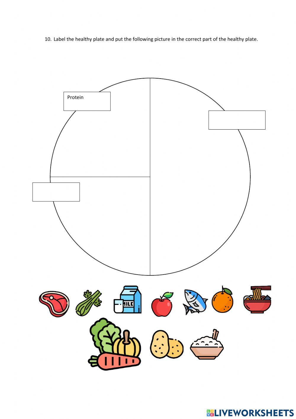 M1 Digestion Worksheet online exercise for | Live Worksheets