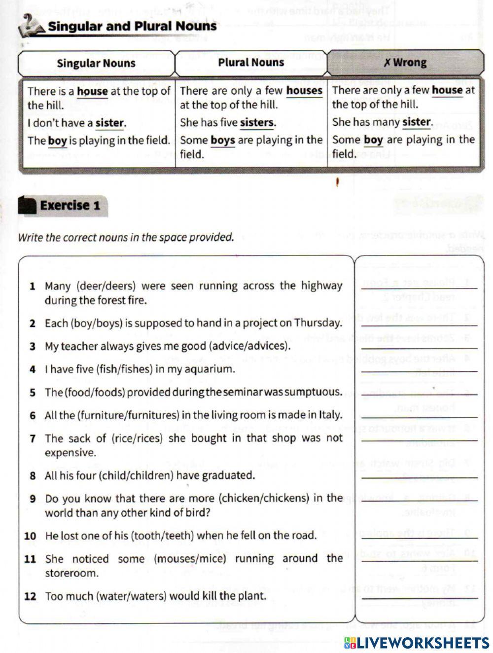 Common Errors :… | Free Interactive Worksheets | 3179104