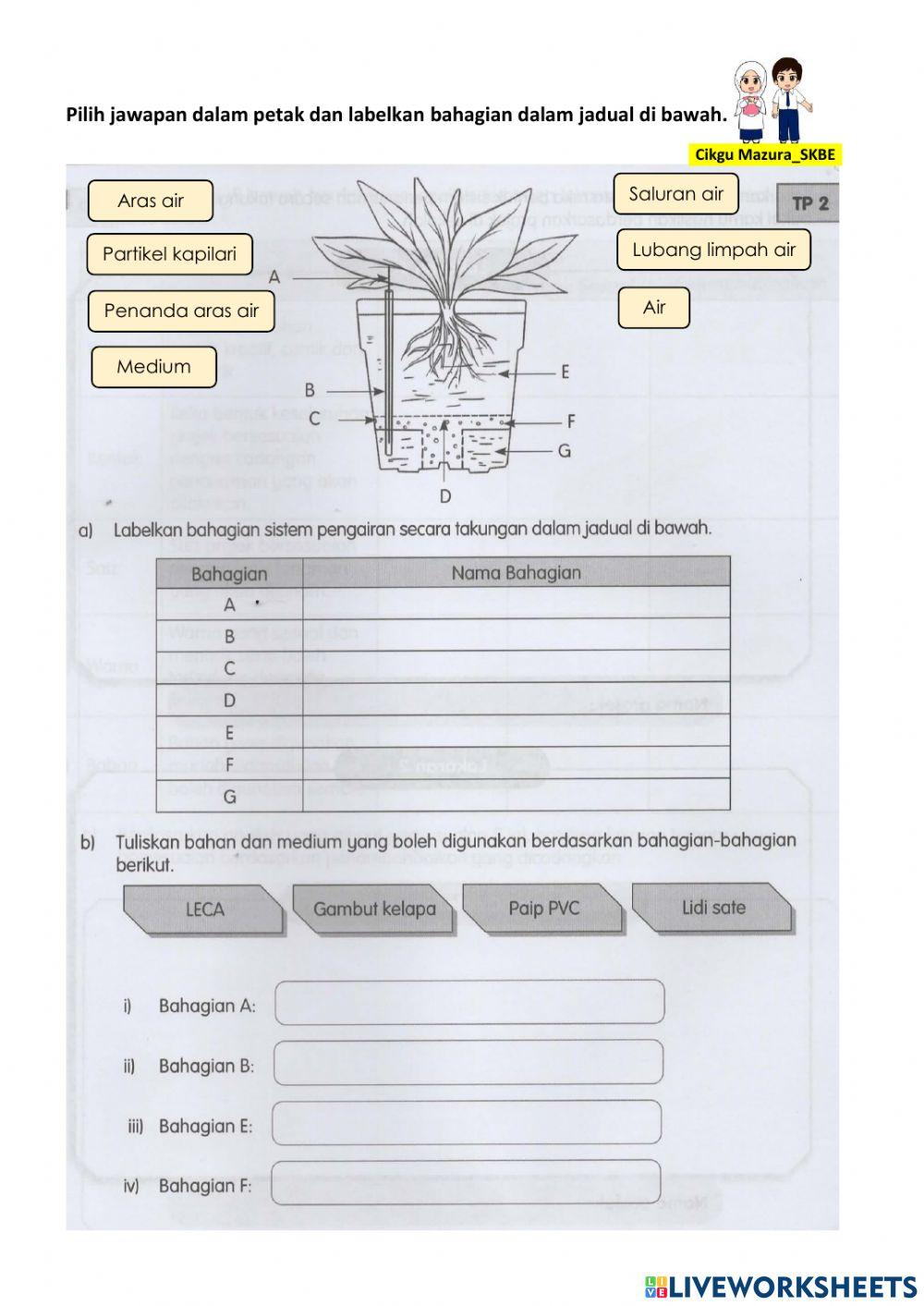 Teknologi pertanian (tahun 6) worksheet | Live Worksheets