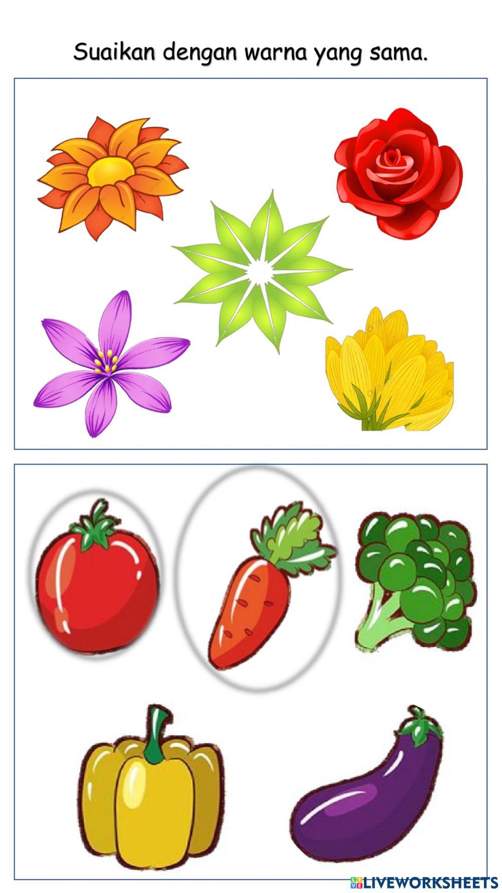 Sayuran | Live Worksheets