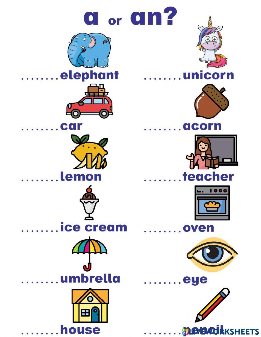 1170521 | A an | Katherine Rodriguez Serrano