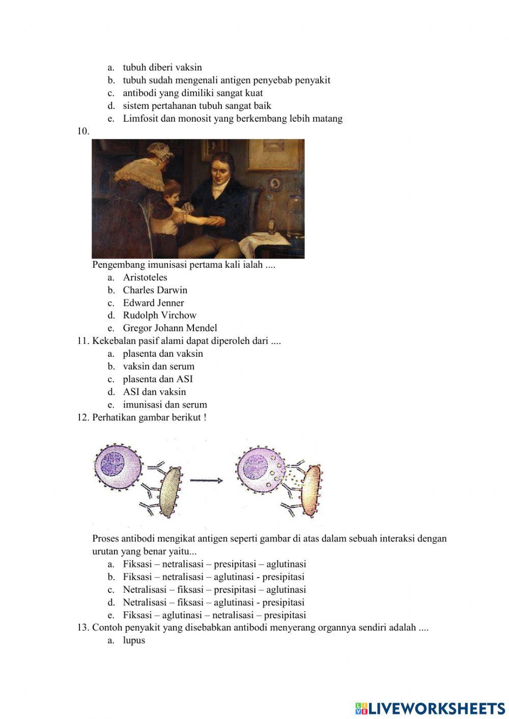 Sistem imun worksheet | Live Worksheets