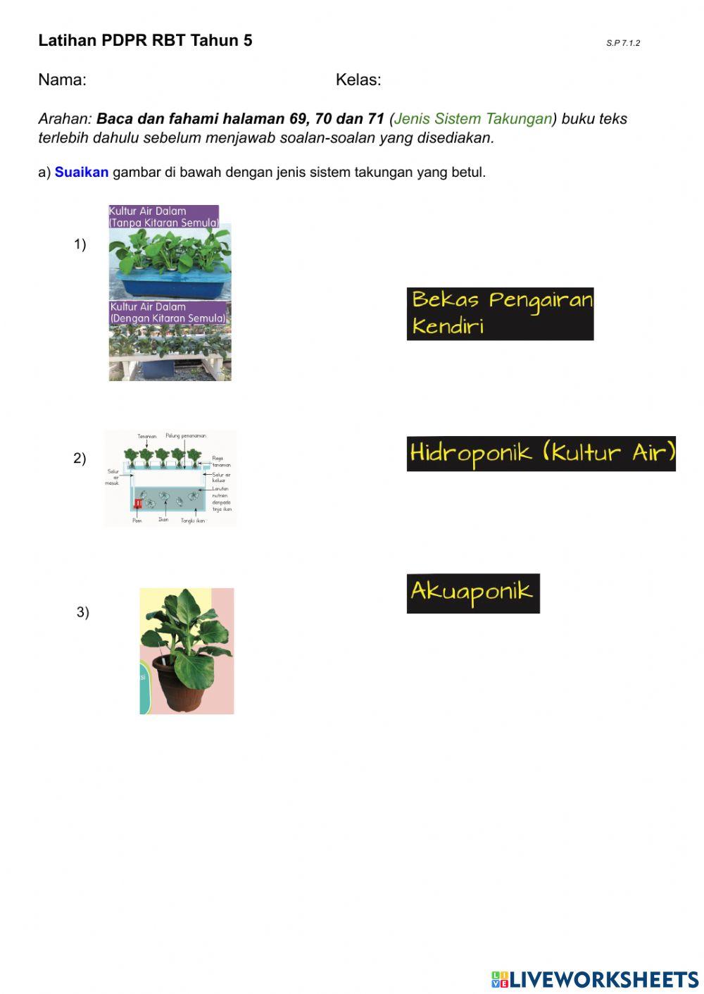 RBT T5 ms69-71 worksheet | Live Worksheets