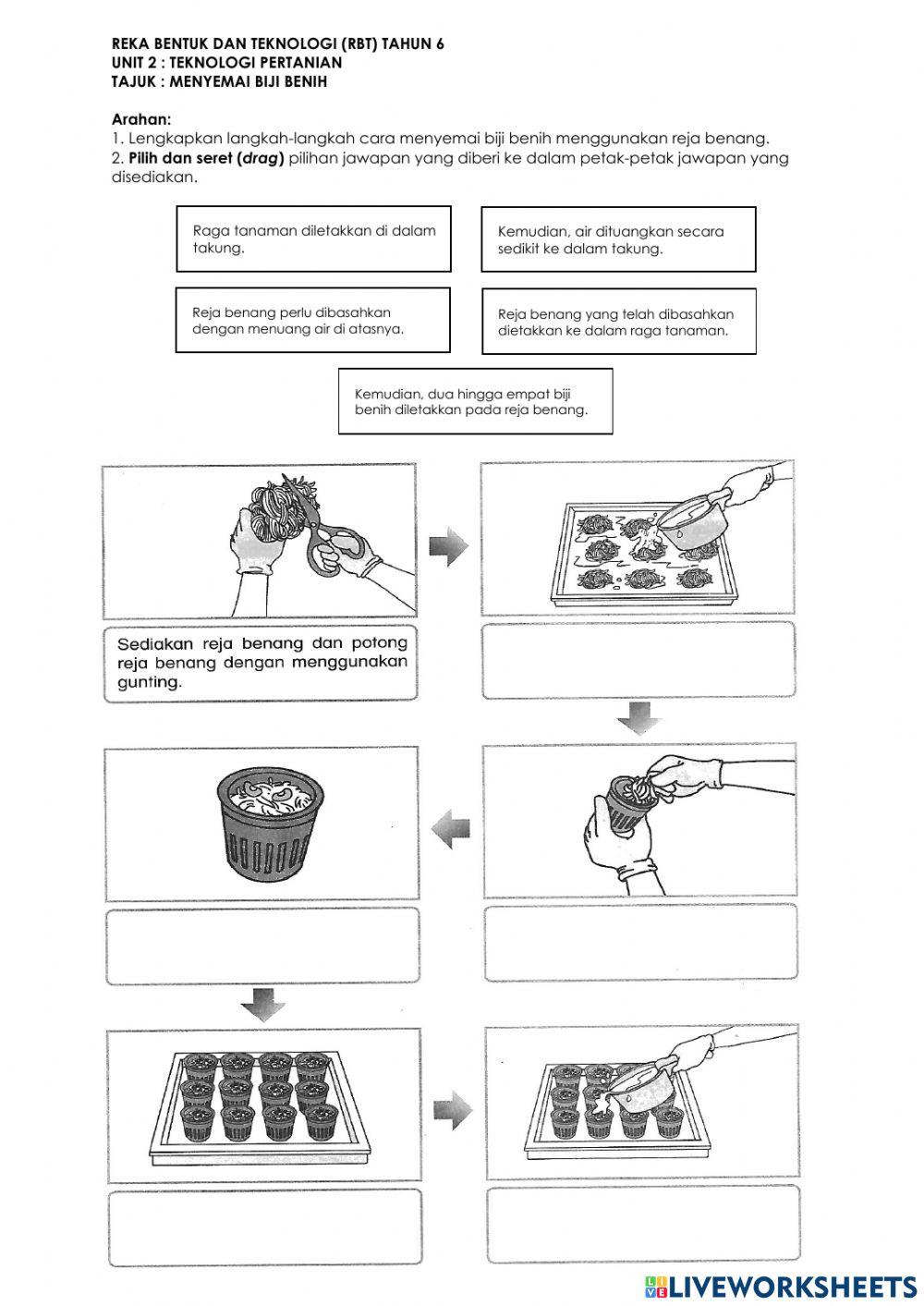 RBT TAHUN 6 : MENYEMAI BIJI BENIH online exercise for | Live Worksheets