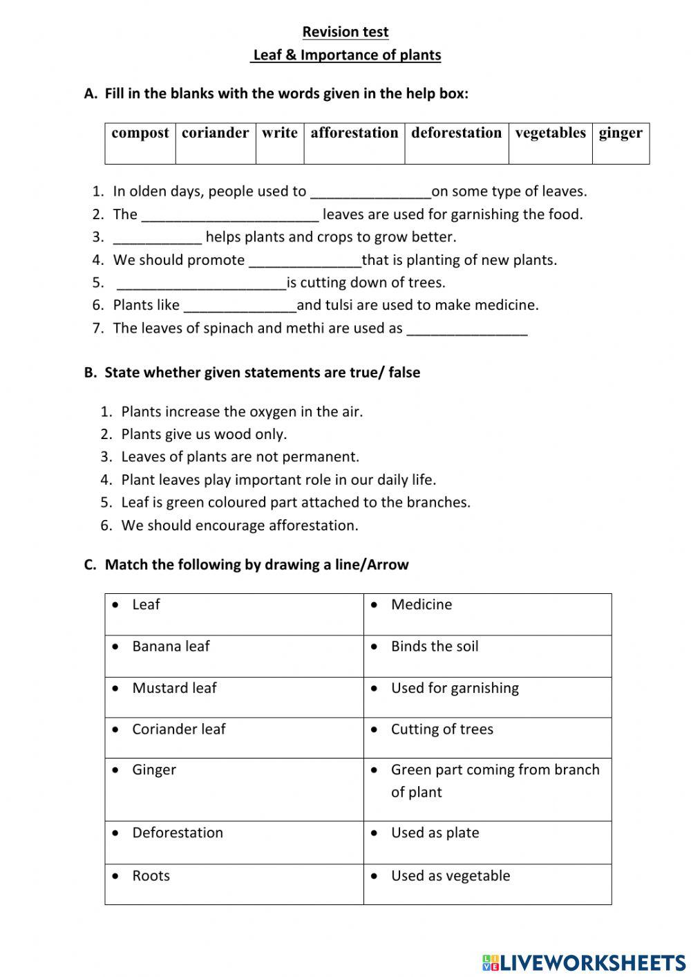 Revision worksheet free worksheet | Live Worksheets