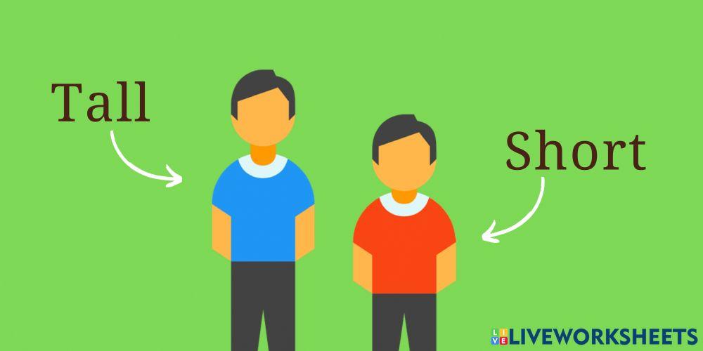Tall short worksheet | Live Worksheets