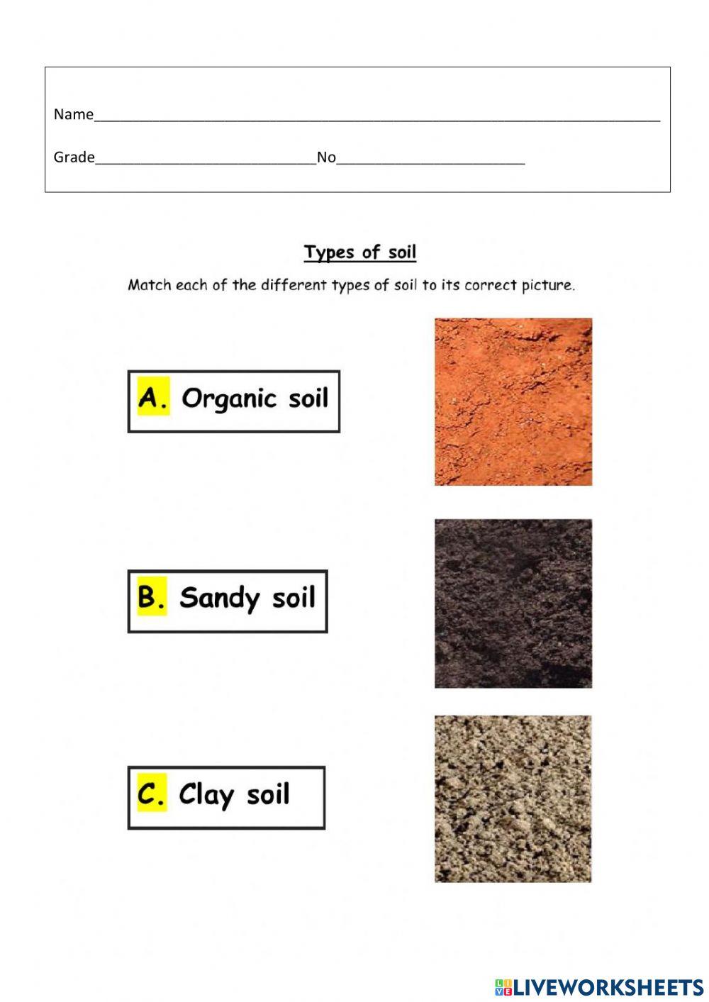 Type of soil K.2 3191401 | Chonthida | Live Worksheets