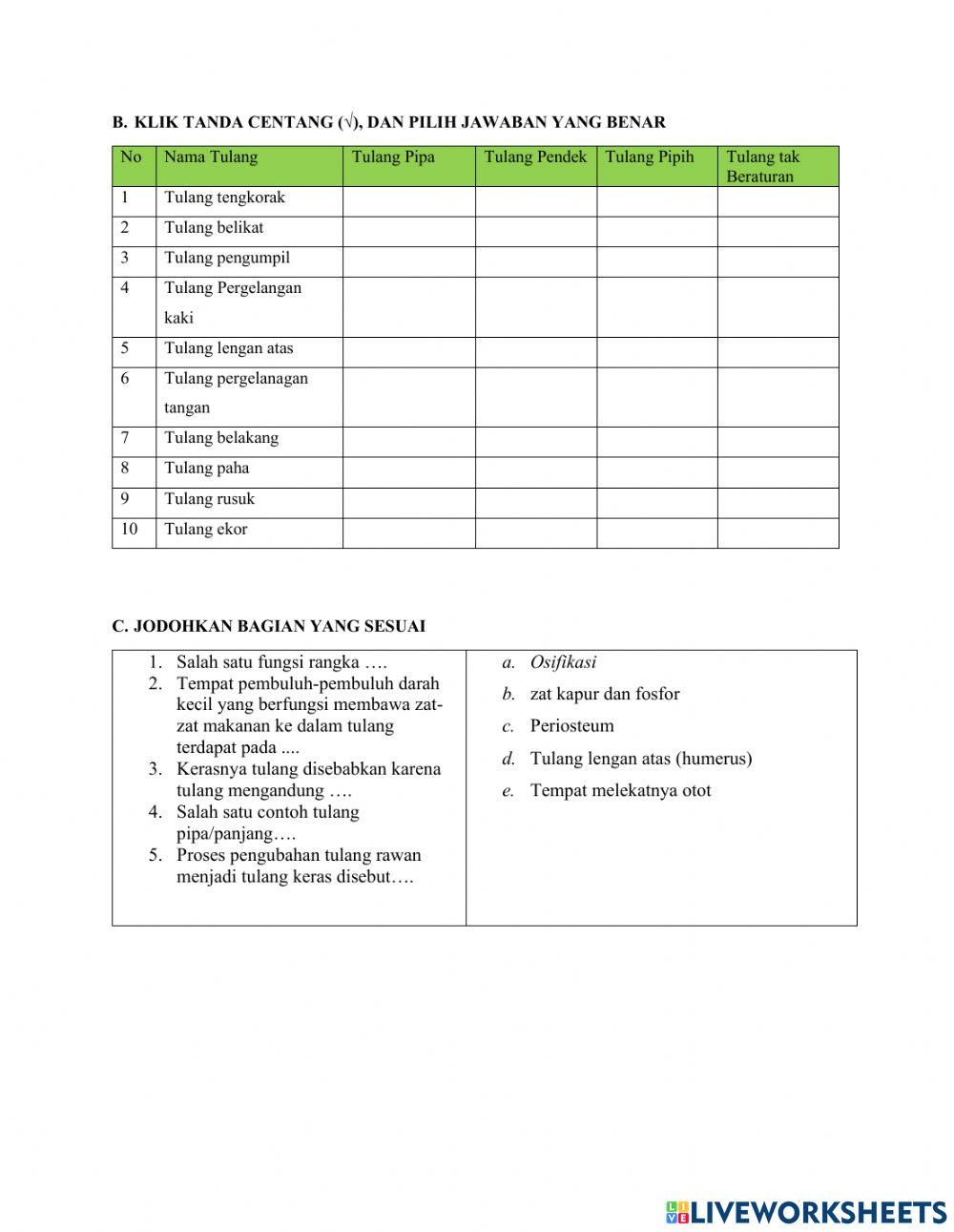 Rangka worksheet | Live Worksheets