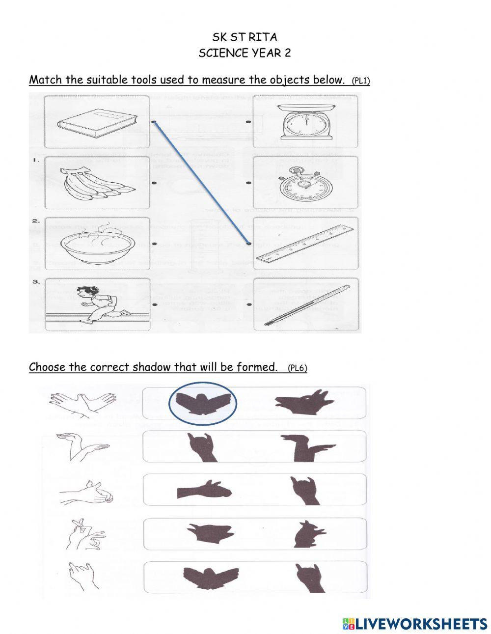 Science 1177146 | TING CHAI HONG | Live Worksheets