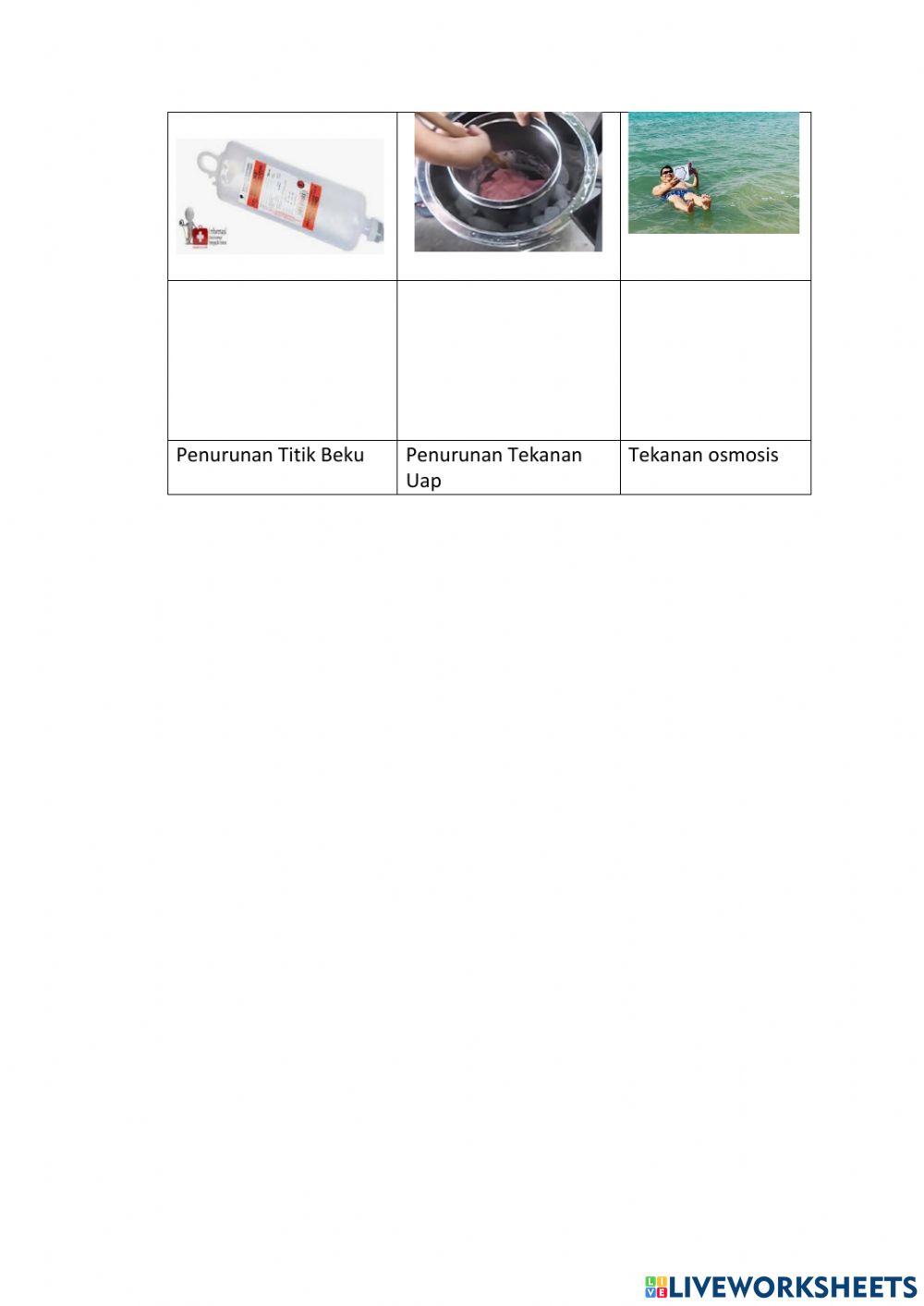 Lkpd intan contoh worksheet | Live Worksheets