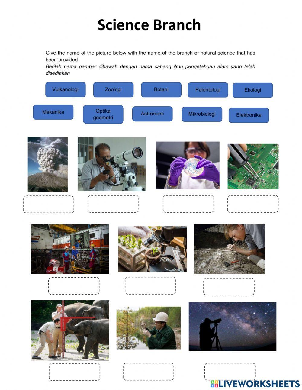 1178554 | Science Branch | Vika Hamudiana