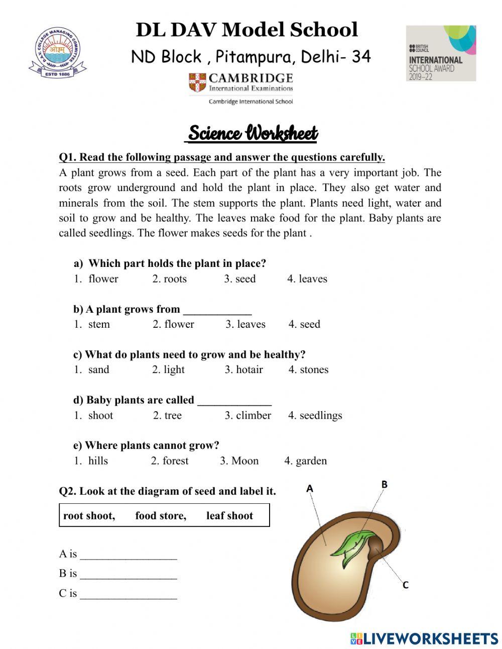 Science online exercise for 2 | Live Worksheets