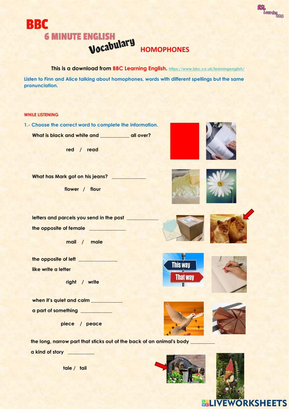 Homophones online pdf worksheet | Live Worksheets