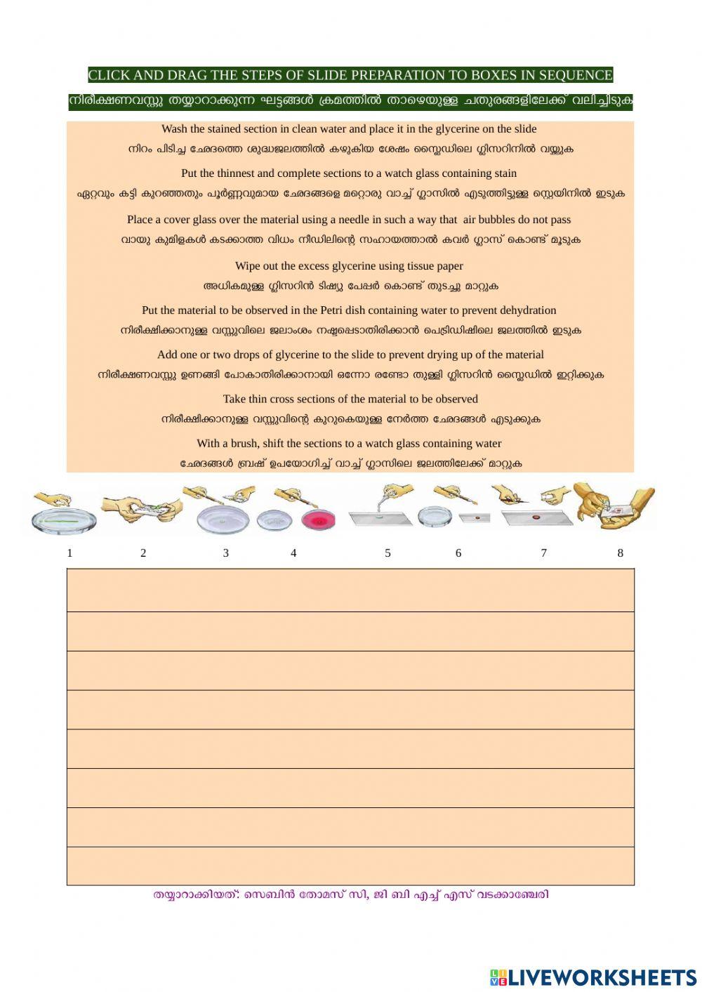Slide preparation worksheet | Live Worksheets