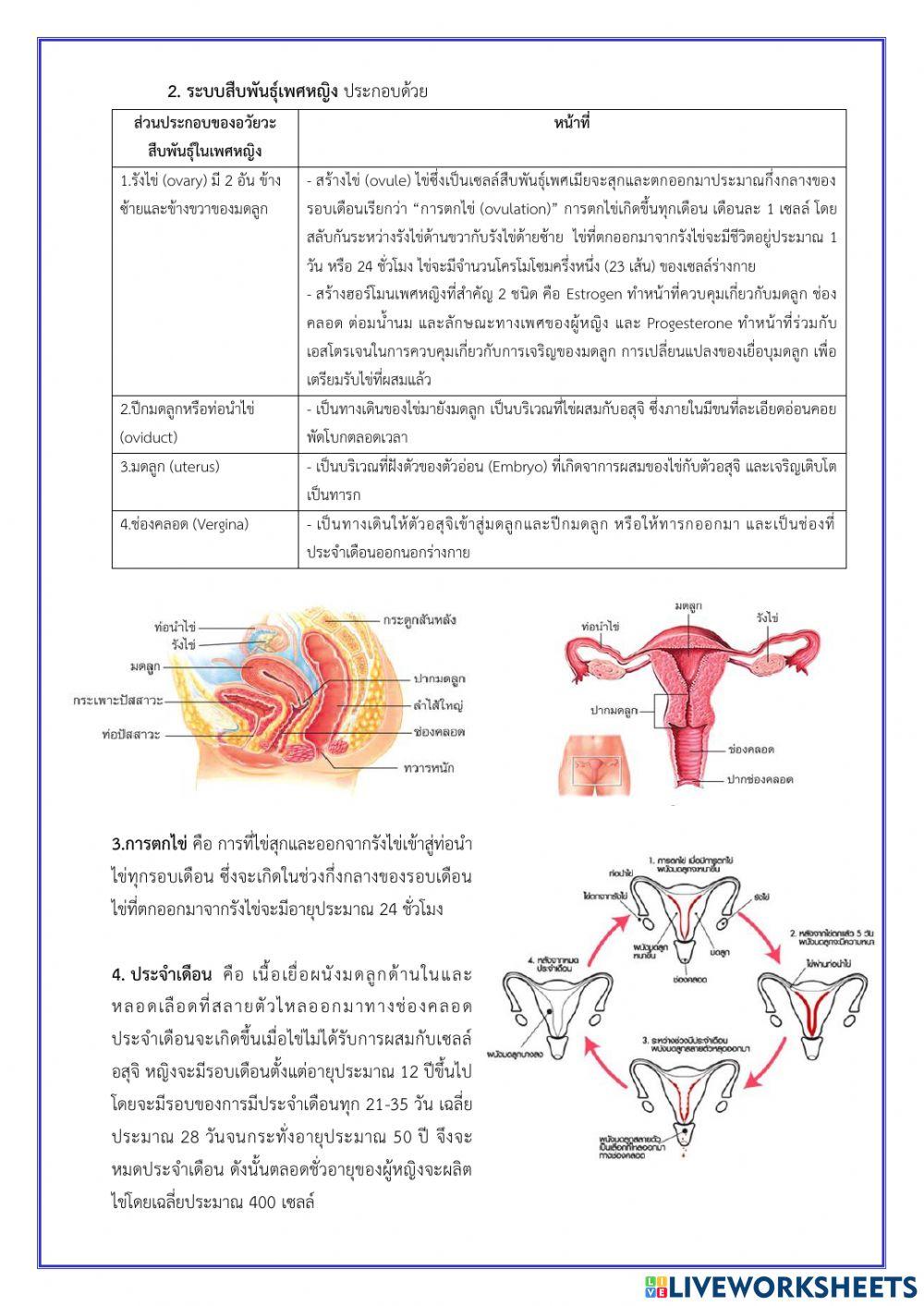 ระบบสืบพันธ์ 1918 | Prapatson Chaloeywaret | Live