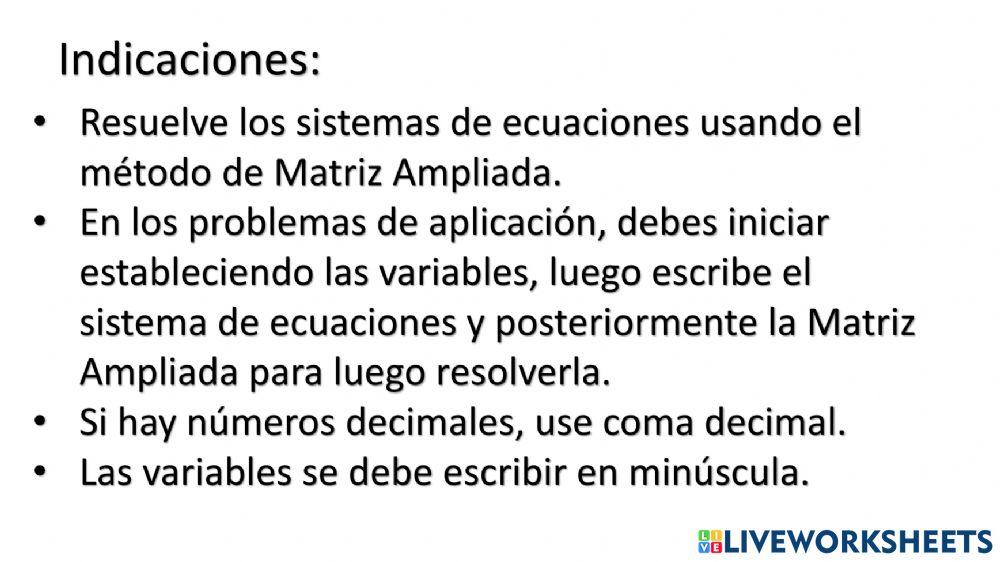 Método Matriz Ampliada Sistema de 2 ecuaciones worksheet | Live Worksheets