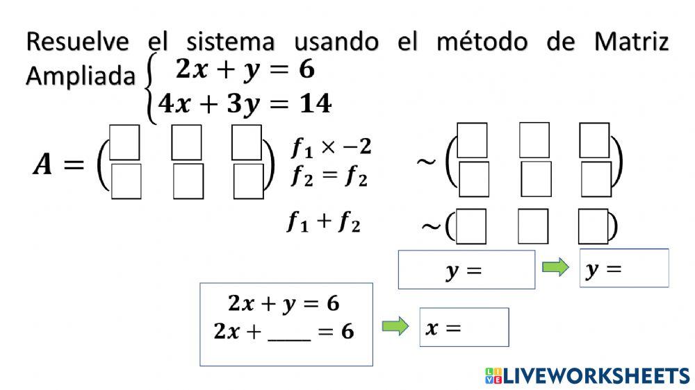 Método Matriz Ampliada Sistema de 2 ecuaciones worksheet | Live Worksheets