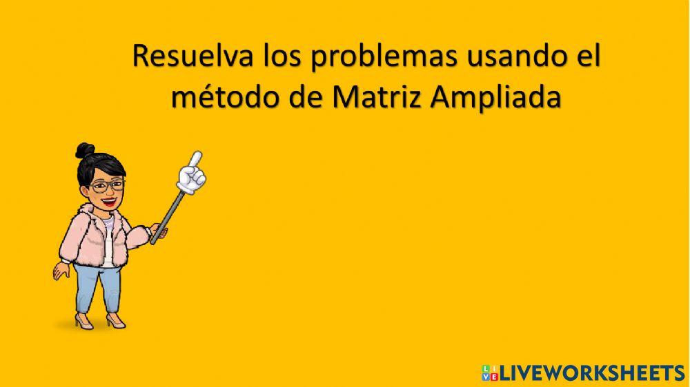 Método Matriz Ampliada Sistema de 2 ecuaciones worksheet | Live Worksheets