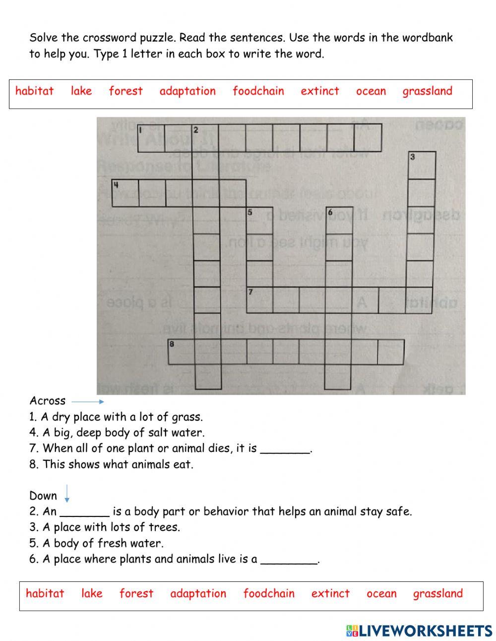 Unit 4 Vocab Review worksheet | Live Worksheets