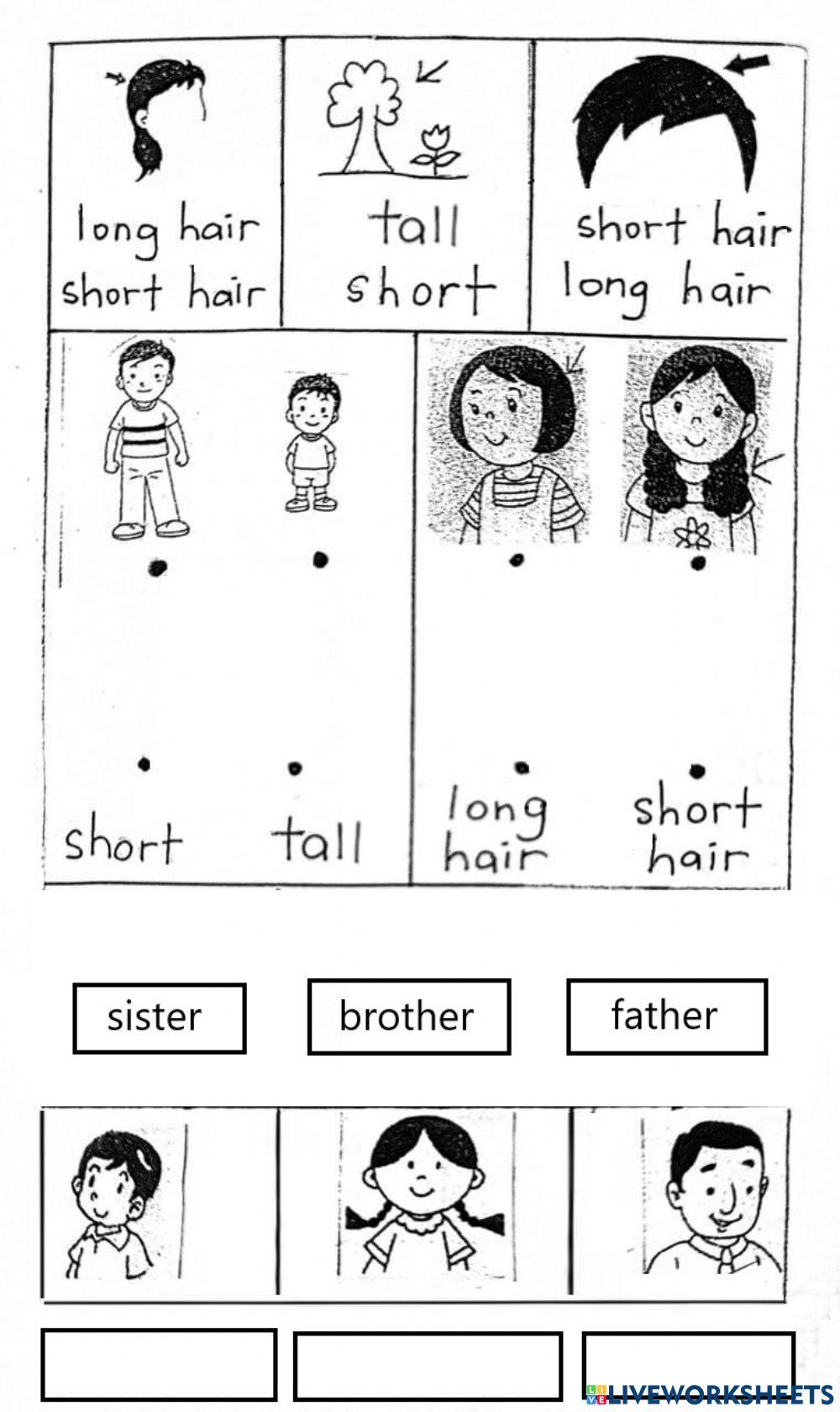 tall short long online exercise for | Live Worksheets