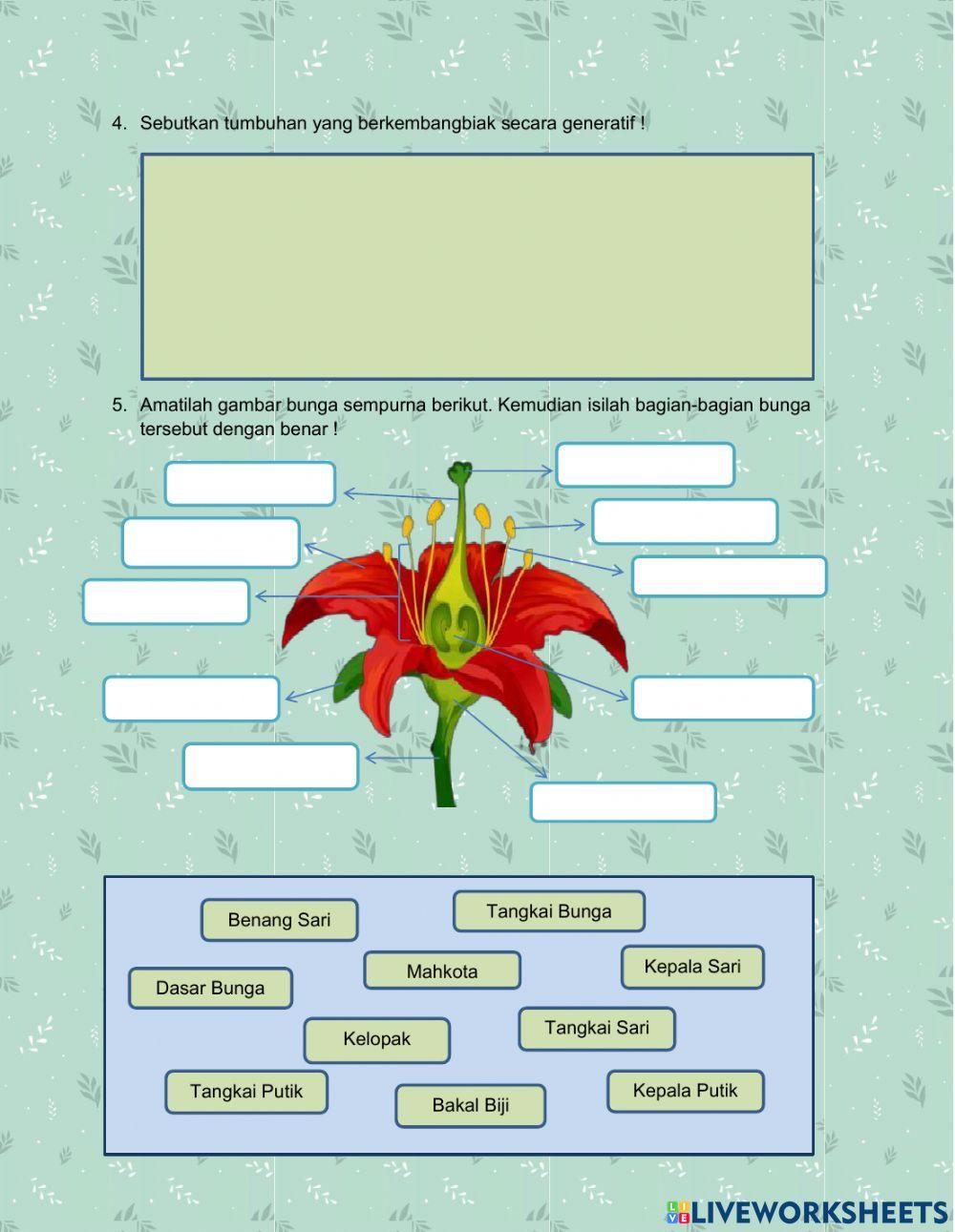 Perkembangbiakan Generatif Pada Tumbuhan interactive worksheet | Live Worksheets