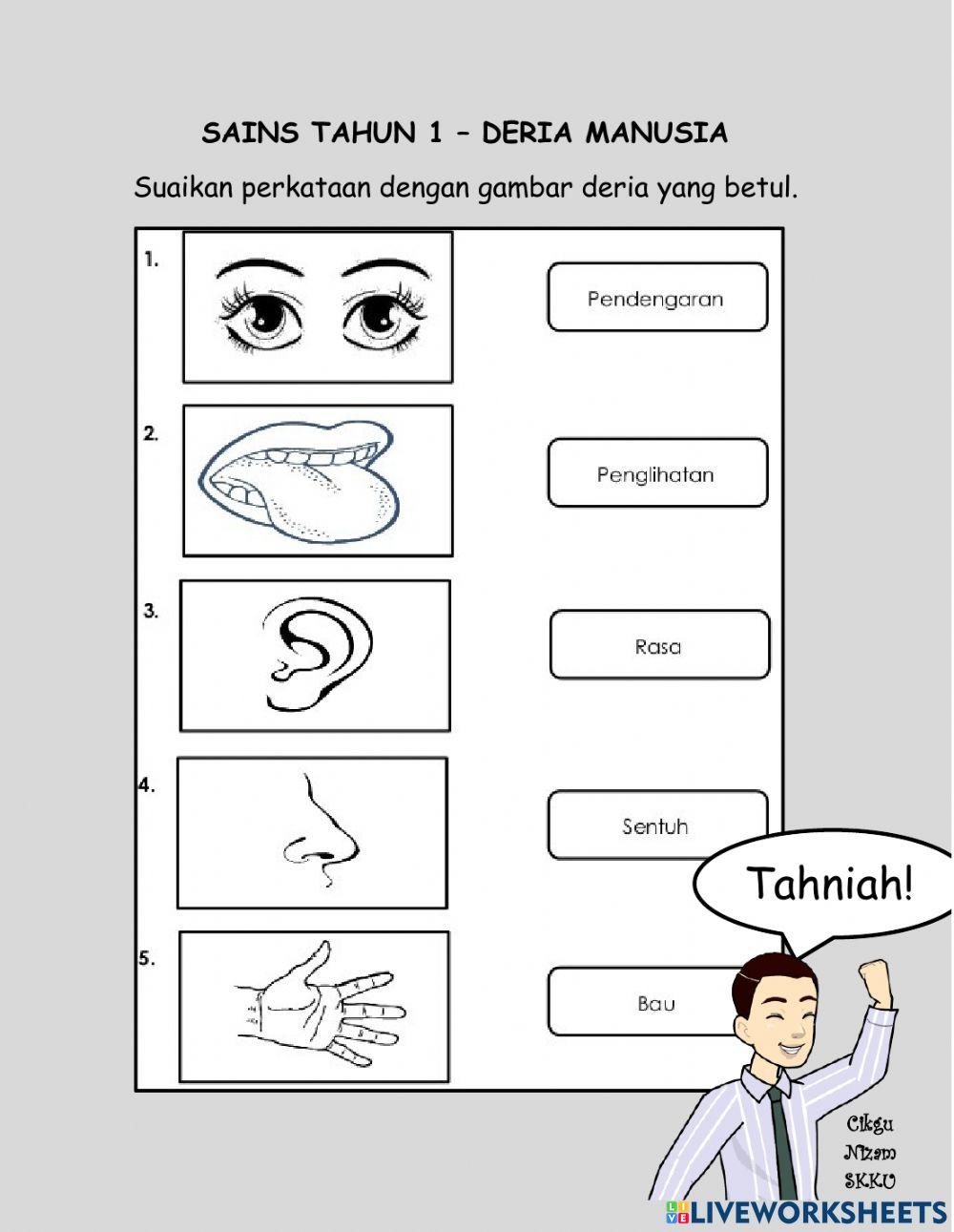 Pdf online exercise: Sains tahun 1 | Live Worksheets