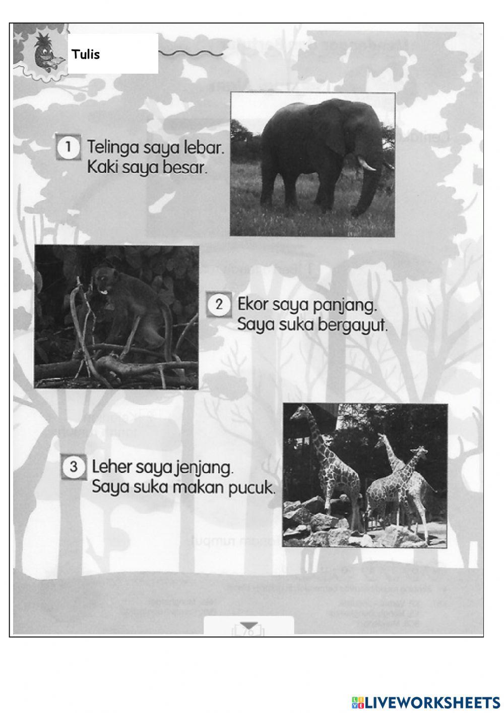 Tulis ayat worksheet | Live Worksheets