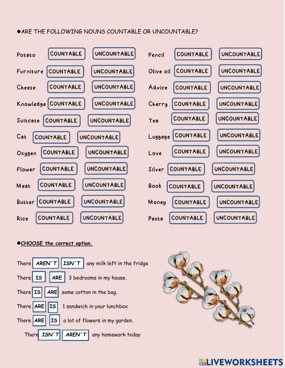 Test countable … | Free Interactive Worksheets | 1139594