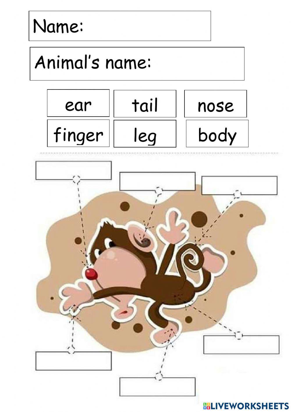 Animal's body parts exercise | Live Worksheets