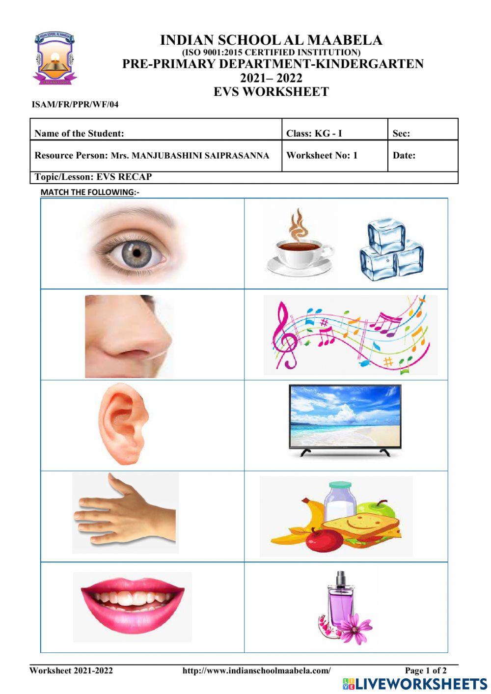 Manjubashini Saiprasanna | EVS - KG1 WORKSHEET 5102822