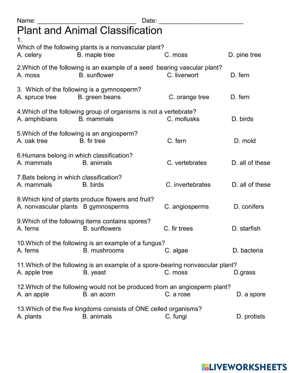 Classification of plant worksheet | Live Worksheets Classification of plant worksheet | Live Worksheets