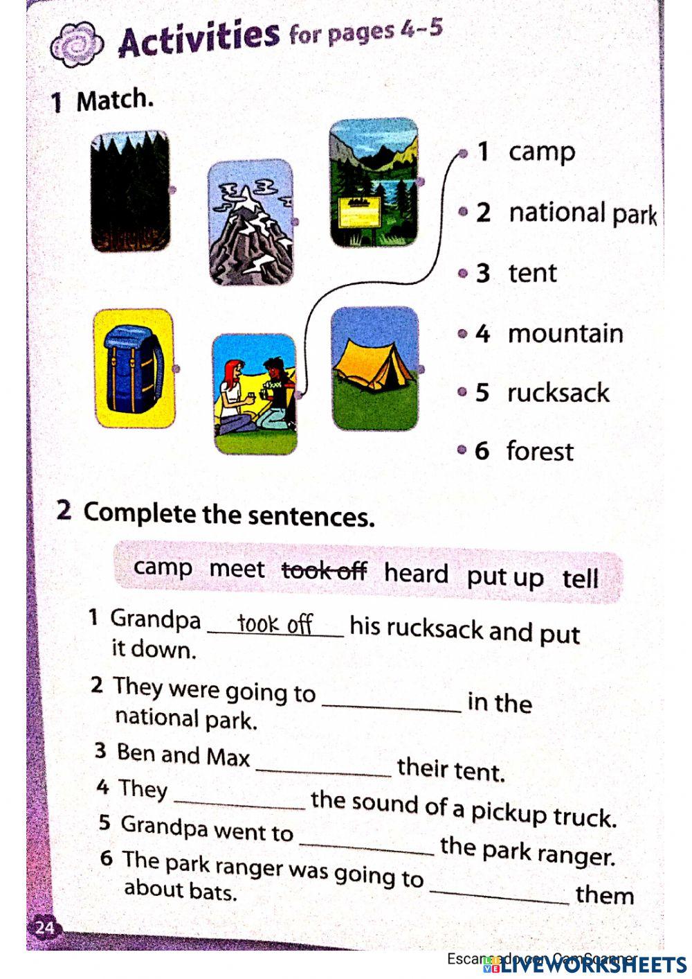 Bats, pages 4 and 5 online exercise for | Live Worksheets