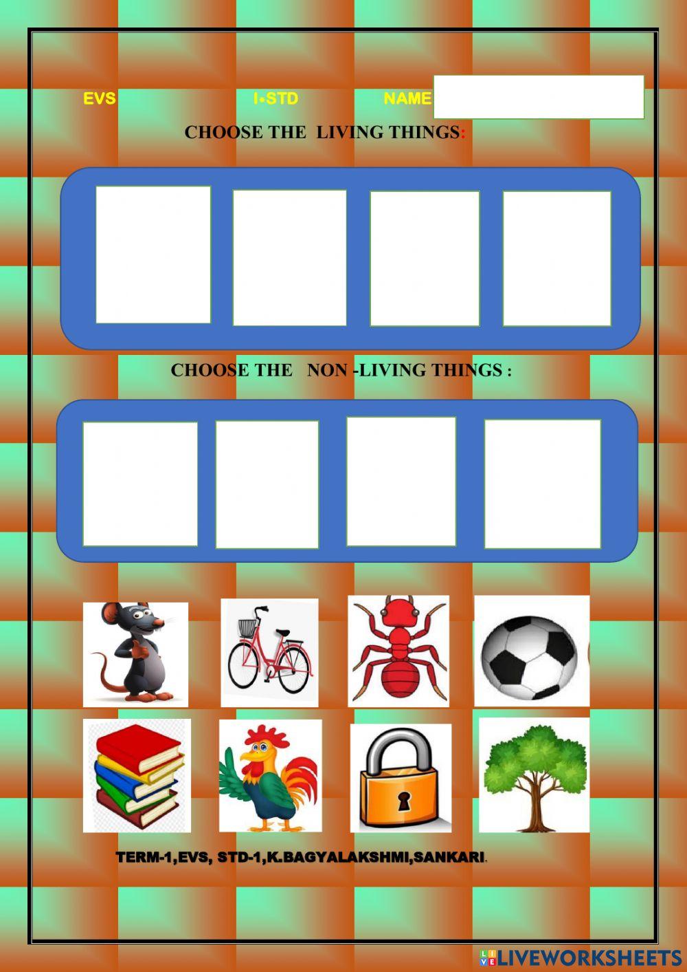 Evs | Free Interactive Worksheets | 1189321